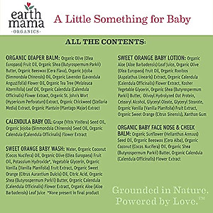 Earth Mama A Little Something for Baby Gift Set Safe Skin Care Essentials for Newborn Baby Shower, 5-Piece Set (Packaging May Vary)
