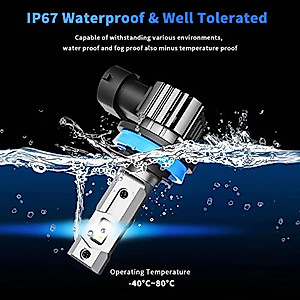 H11 Bulbs, 60W 16000LM Fog Lights, Super Bright Cool White Light Bulbs, Plug & Play, Pack of 2