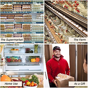 40 Pack Egg Cartons Cheap Bulk, Reusable Plastic Egg Cartons for Chicken Eggs, 1 Dozen Holds up to 12 Eggs, Clear Empty Reusable Egg Carton for Home Ranch Chicken Farm, Business Market Display