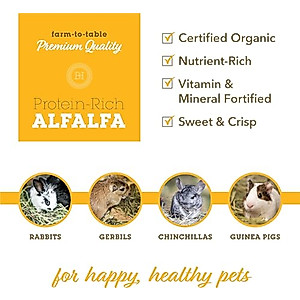 5 Lbs Fresh Alfalfa Hay by Bunny Honey - USDA Organic Natural Hay for Guinea Pigs, Rabbits, Hamsters, Hedgehogs, and More Small Select Animal Pets - 2nd Cut Fresh from Farm (5LB)