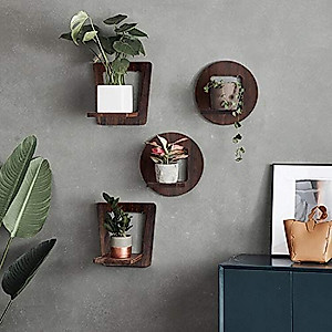 JOLLYMER 4 Pack Floating Wall Shelves for Living Room, Bedroom, Bathroom, Kitchen