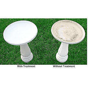 Birdbath & Fountain Protector 95566, 16 oz. for Clean and Clear Water, 16 Fl Oz (Pack of 1)