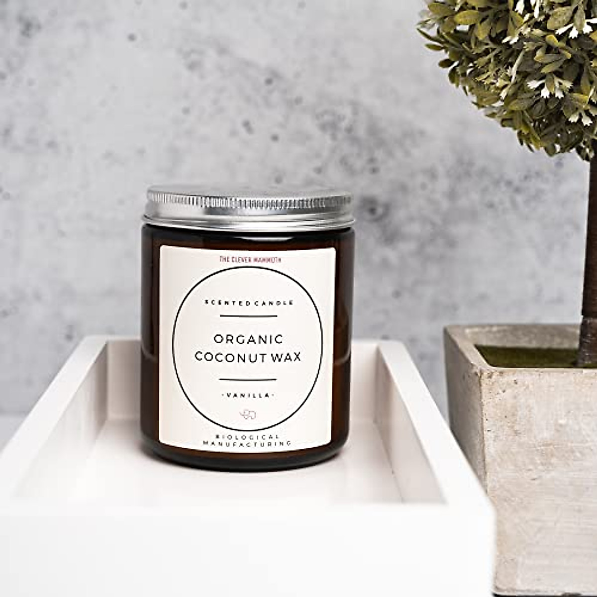 Coconut Wax Scented Candle - Wood Wick - Long Lasting - Smoke Free - Organic - The Clever Mammoth - (Vanilla Large)