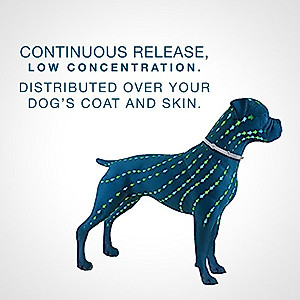 Seresto 8-Month Flea & Tick Prevention Collar for Small Dogs Up to 18 lbs Plus FitBark GPS Dog Tracker | Buy Together and Get Free 1-Year GPS Subscription ($255.33 Value)