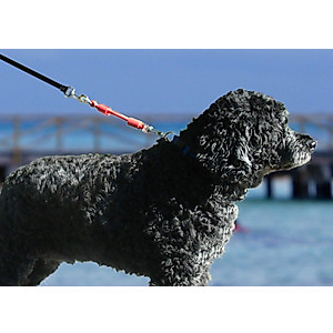 JERK-EASE BUNGEE DOG LEASH EXTENSION – Patented Shock Absorber Attachment Protects You and Your Dogs – Works with ANY Leash & Collar or Harness – a MUST for Retractable Leashes – PICK SIZE/COLOR BELOW