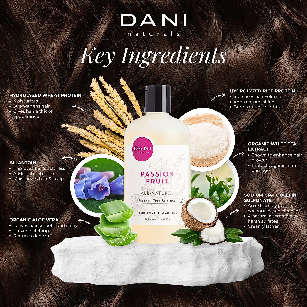 DANI Natural Moisturizing Shampoo Naturals - Juicy Passion Fruit Scent - Organic Aloe Vera & Coconut Cleansers - Sulfate, Phthalate & Paraben Free - Vegan & Cruelty Free - 12 Ounces