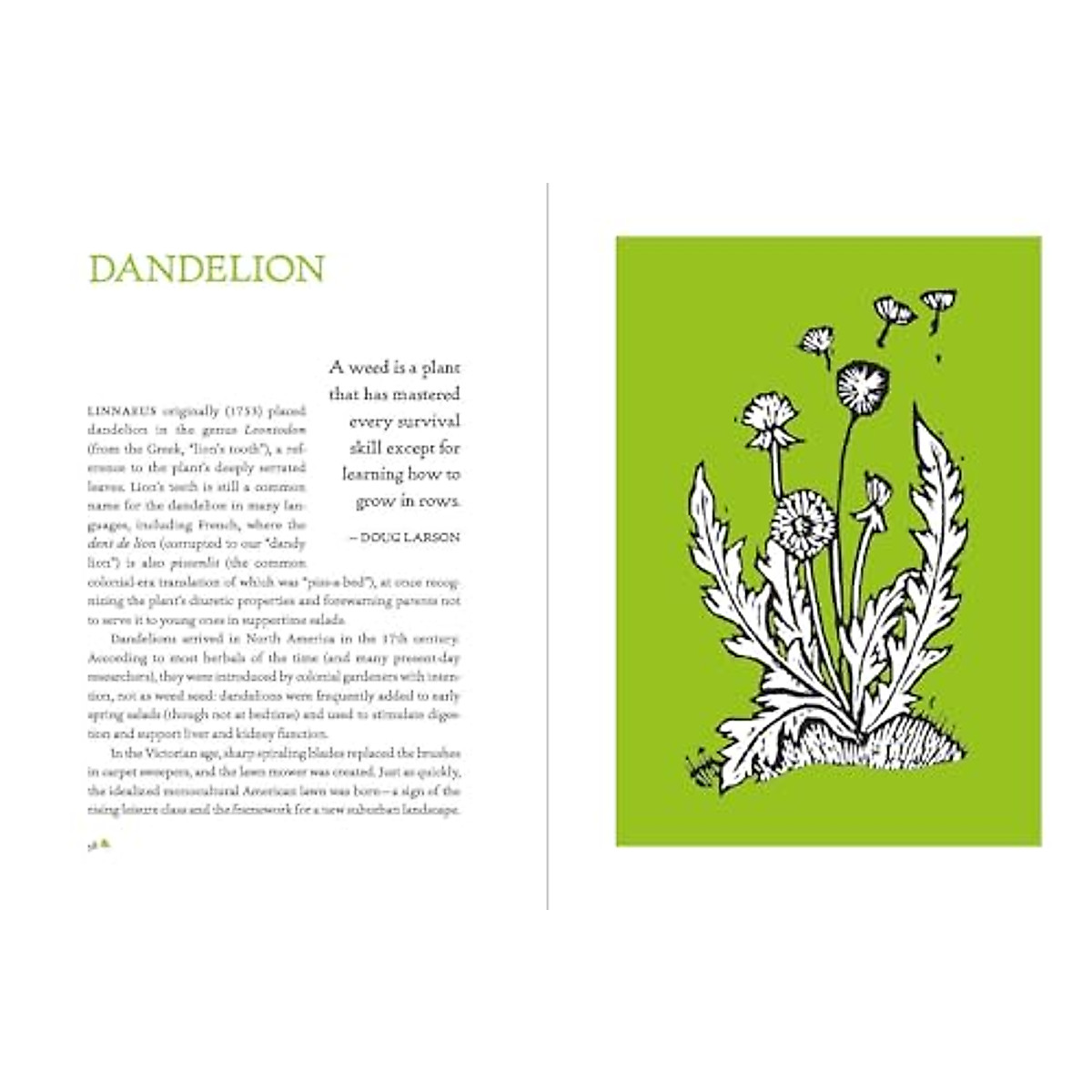 The Heirloom Gardener: Traditional Plants and Skills for the Modern World