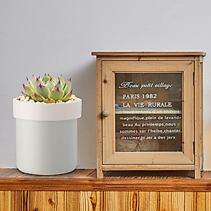 Younion Flower Pot Diversion Safe with Key Lock, Secret Hidden Safe Lock Box, Perfect for Hiding The Valuables Inside Flower Pot’s False Bottom, Plants Not Include