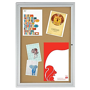 Displays2go 2x3 Foot Cork Enclosed Bulletin Board, 24 x 36 Inch with Hinged Door, Aluminum (LCRKSF2436)