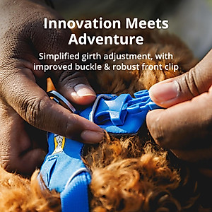 Ruffwear, Front Range Dog Harness, Reflective and Padded, No Pull Harness for Training and Everyday, Basalt Gray, Small