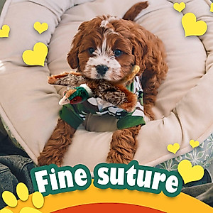 ALL FOR PAWS Classic Dog Pheasant Toys, Squeaky Dog Toys Stuffed Animal Dog Hunting Plush Toy, Large