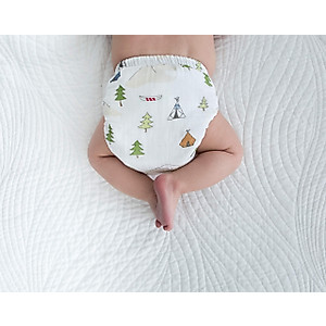 SmartNappy Disposable Inserts for by Amazing Baby Hybrid Diaper Cover, Extra Absorbent, No Plastic Liner, Size 2, 8-15 lbs, 72 Count