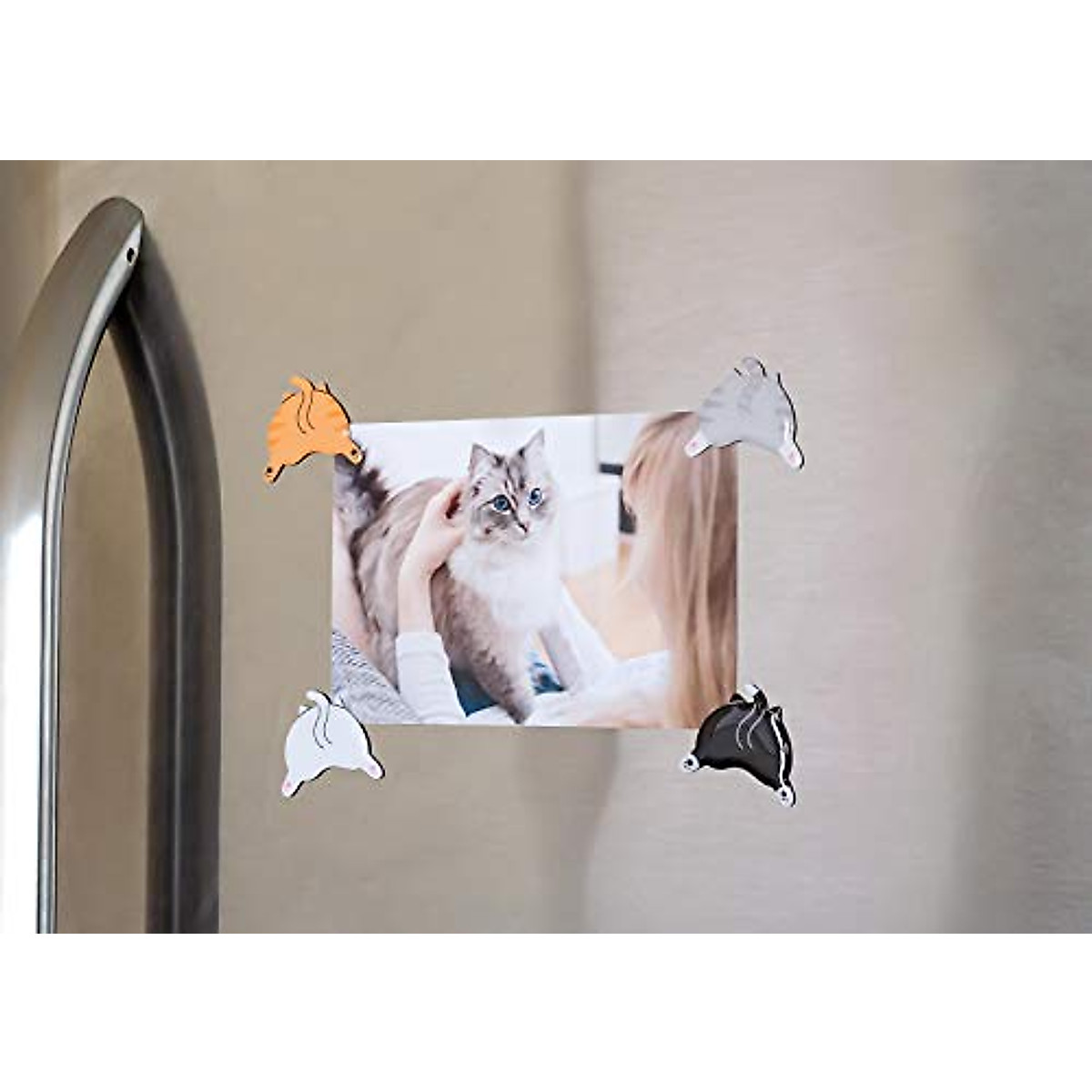 Pearhead Cat Bum Kitchen Magnets, Pet Themed Refrigerator Magnets, Cat Lover Home Décor, Funny Novelty Gift, School Locker Accessories, Set of 4