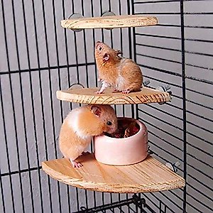 AOOF Wooden Coin Parrot Bird Cage Perches Stand Platform Pet Budgie Hanging Toy Pet Toys (Color : L)