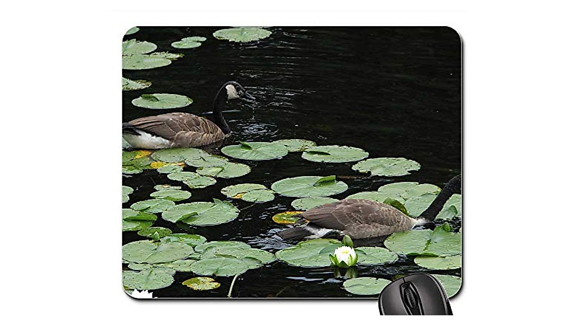 Mouse Pad - Geese Lilly Pads for Efficiency