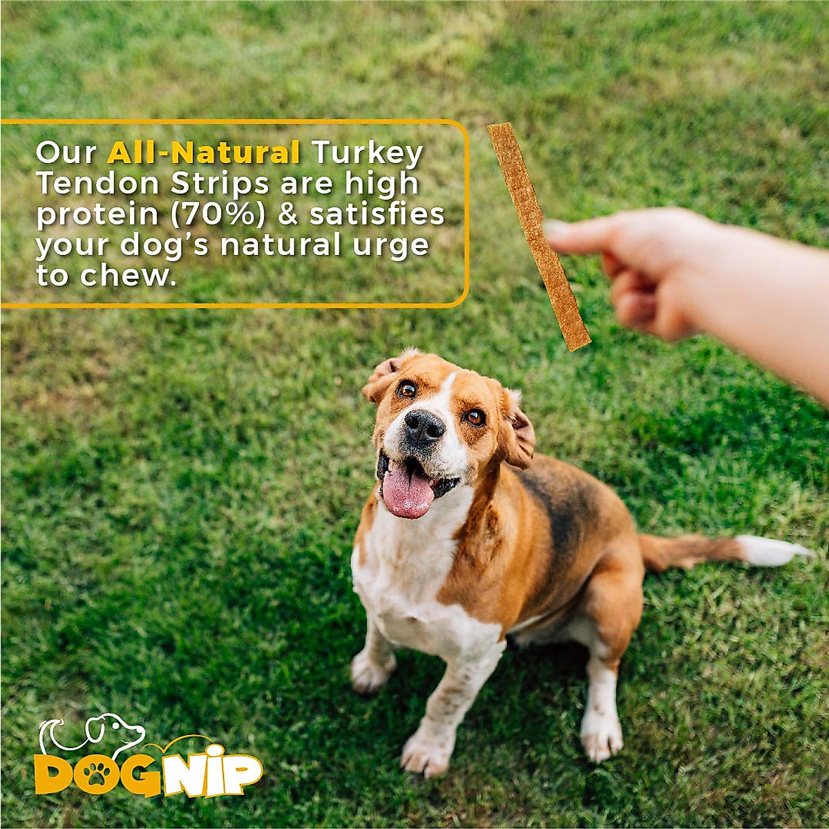 Gobble! 6-Inch Turkey Tendon Strips for Dogs, 6 oz. (170g) Reseal Value Bag, Made in USA, All-Natural Hypoallergenic Dog Chew Treat | Sourced, Processed & Packaged in The USA | (45-50 Pieces)