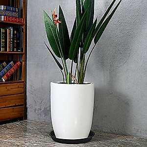 GROWNEER 6 Packs 12 Inches Plant Saucer Drip Trays, Suit for Pots Less Than 10 Inches Bottom Diameter, Round Plastic Plant Pot Saucers Flower Pot Tray for Indoor Outdoor Garden, Black