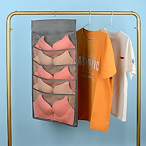 Lirex Closet Hanger Organizer with 10 Pockets, 1 Pack Foldable Underwear Hanging Organizer Bra Storage Oxford Cloth Universal Fit Closet Space Saver for Family Bedroom