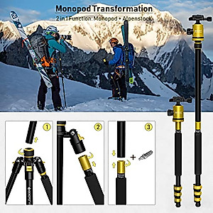[Limited Edition] GEEKOTO 77'' Tripod-Camera Tripod for DSLR-Compact Aluminum Tripod with 360 Degree Ball Head Loads up to 17.6LBS for Travel and Work(Yellow)