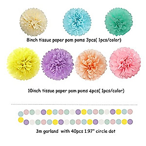 Pastel Rainbow Party-Decorations Supplies Streamers-Garland - 29pcs Baby Shower Birthday Wedding Tissue Pom Poms,Tassel Banner Backdrop Decor Bunting Lasting Surprise