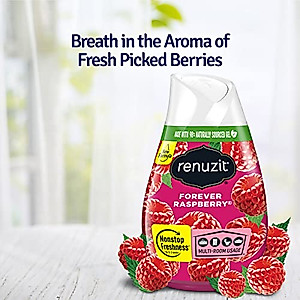 Renuzit Adjustable Air Freshener Gel, Forever Raspberry, 7 Ounces (6 Count)