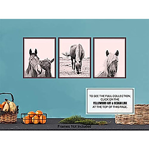 Horse Wall Art - Farmhouse Barn Wall Decor for Girls Bedroom, Office, Living Room - Country Western Boho Shabby Chic Decorations - Gift for Equestrian Women - Pink Pony Poster Set