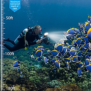 Suptig 30 LED Video Light Waterproof Light Underwater Light for Gopro Hero 12,11,10, 9, 8, 7, 6, 5, 4, 3,2, DJI osmo, Akaso and Canon Nikon Sony Olympus SLR Cameras Waterproof 180ft(55m)