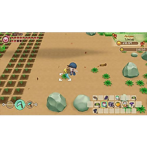 Story of Seasons: Friends of Mineral Town - Nintendo Switch
