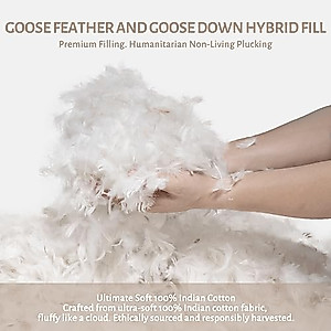 Bafode Goose Down Comforter Queen Size - All Seasons Duvet Insert Queen - Fluffy Goose Feather Down Comforter with Organic Cotton Shell - Luxury Comforter for Queen Size Bed Fill with 54 Oz Goose Down