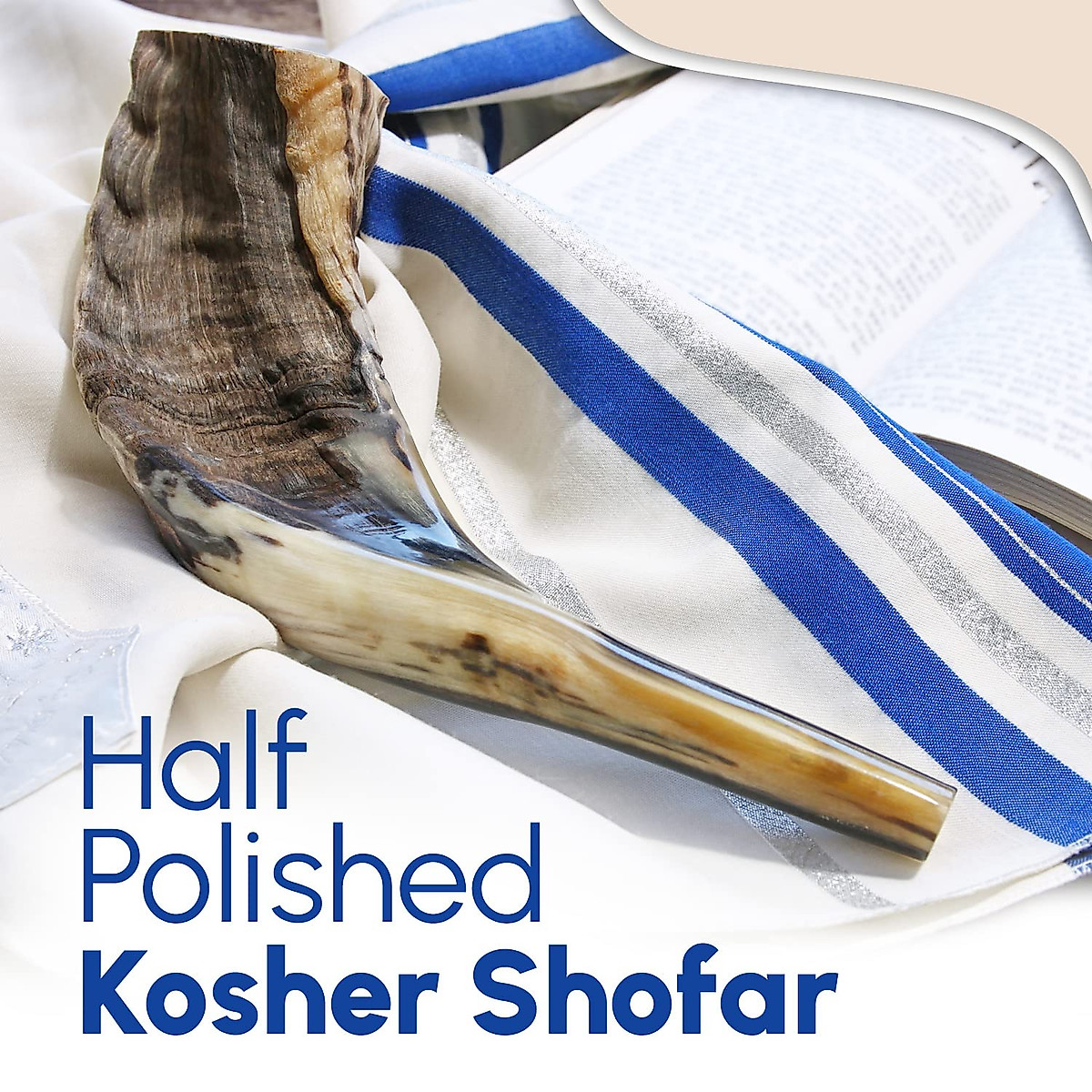 Nana Gifts Authentic Ram Horn Shofar from Israel, Clear Sound, Half Polished, 14''-16''