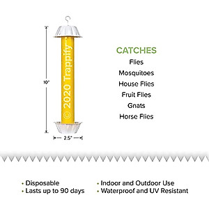 Trappify Hanging Fly Traps Outdoor: Fruit Fly Traps for Indoors | Fly Catcher, Gnat, Mosquito, & Flying Insect Catchers for Inside Home - Disposable Sticky Fly Trap for Indoor House Pest Control (2)