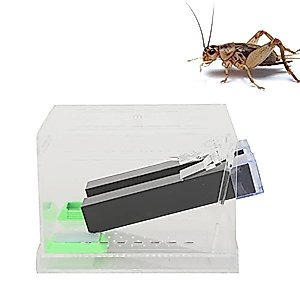 Cricket Keeper with Tubes, Easy to Equipped with Water/Food Feeding Tub Cricket Care Kit for Home for Office(L)