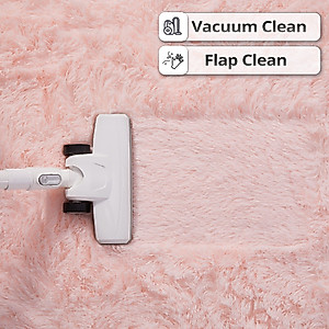 LFHHT Soft Fluffy Area Rugs for Bedroom Living Room, 4x6 Feet Indoor Plush Shaggy Fuzzy Carpet Shag Rug for Kids Boys Girls Baby Nursery Dorm Room Home Decor, Pink