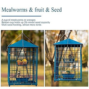 Mealworms Bird Feeders for Bluebirds - Metal - Huge Caged Squirrel-proof Bird Feeders with 2 Cups, DIY Wild Bird Feeders Outdoor Hanging (Blue), Attract Small Birds, 2lbs Seed Capacity+1 Mealworms Cup