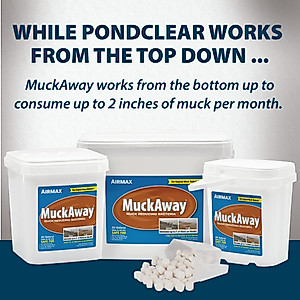 Airmax PondClear Pond Clarifier, Cleans Water & Eliminates Odor, Natural & Easy to Use Bacteria & Enzyme Packets, Safe for The Environment, Treats 1/4 Acre, 6 Month Supply, 24 Packets, 6 lbs