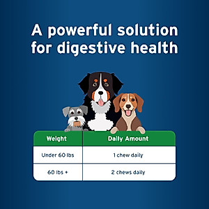 Bundle of Seresto Small Dog Collar for Dogs Under 18 lbs. + Pet Protect Dog Digestive Health Supplement 60 Chews