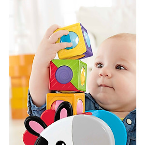 Fisher-Price Roller Blocks Tumblin' Zebra