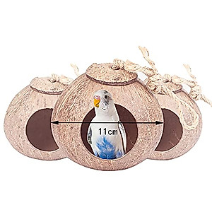 Coconut Bird Nest Hut, Natural Coconut Fiber Hanging Birdhouse Cage Breeding Nesting Bird Aviary Cage Box Anti-Pecking Bite for Parakeet Budgie Cockatiel Finch Sparrows