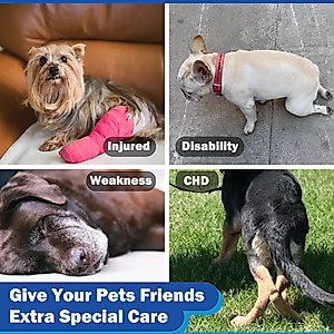 Dog Wheelchair for Back Legs(L), 2024 New Adjustable Dog Wheel Chair, Assist Small Pets with Paralyzed Disabled Hind Limbs Recover Mobility, Pets Cart with Wheels Leg Brace Hip Support(<27.5 LBS)