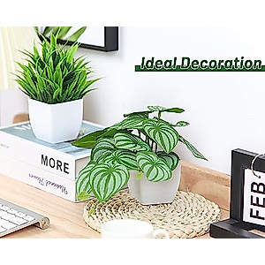 Der Rose Set of 2 Artificial Small Fake Plants for Home Living Room Bathroom Office Decor Aesthetic Indoor