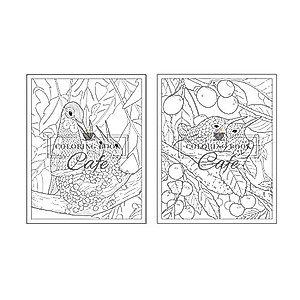 Hummingbird Coloring Book: An Adult Coloring Book Featuring Charming Hummingbirds, Beautiful Flowers and Nature Patterns for Stress Relief and Relaxation