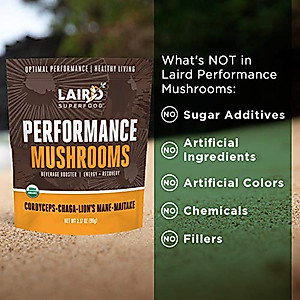 Laird Superfood Organic Performance Mushroom Blend with Chaga, Cordyceps, Lion's Mane and Maitake for Energy and Cognition, 3.17 oz. Bag, Pack of 1