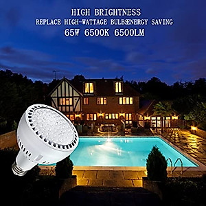 LED Pool Light Bulb 120V 65W 6500LM 6500K Daylight White LED Swimming Pool Light Bulb, Replaces up to 200-800W Traditionnal Bulb for Most Pentair Hayward Light Fixtures