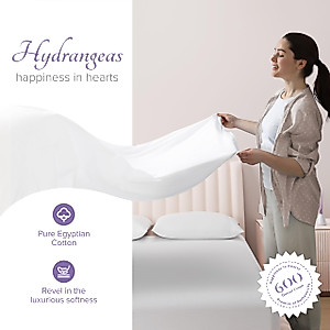 Carressa Linen Luxury Egyptian Cotton 4 PC Queen Size Sheet Set - 600 Thread Count Deep Pocket Fitted and Flat Sheets, Soft, Cooling Extra Long Staple Hotel-Quality Bedding with Sateen Weave - White