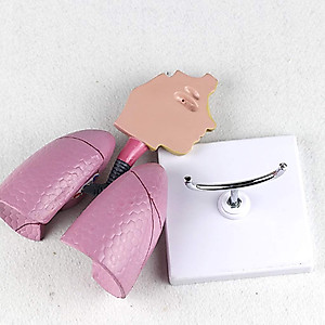 KINOFU Human Respiratory System Model -Removable Human Organ Model -Human Internal Organs Nasopharyngeal Anatomy Respiratory Lung Structure Teaching Model Teaching Aids