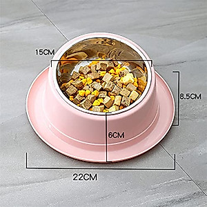 FUUIE Bowls for Food and Water 15 Tilt Pet Bowl Stainless Steel Pet Non-Slip Bowl (Color : Blue)