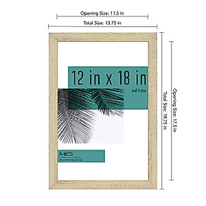 MCS Studio Gallery 12x18 Picture Frame Natural Woodgrain, Rectangle Photo Frame for Photos, Posters & Art Prints (2-Pack)