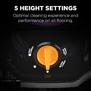 Eureka Powerful Lightweight Upright Vacuum Carpet and Floor, PowerSpeed NEU202 with Automatic Cord Rewind, Purple