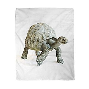 rouihot 50x60 Inches Flannel Throw Blanket Colorful Giant Large Tortoise Walking on 3D Rendering Turtle Home Decorative Warm Cozy Soft Blanket for Couch Sofa Bed