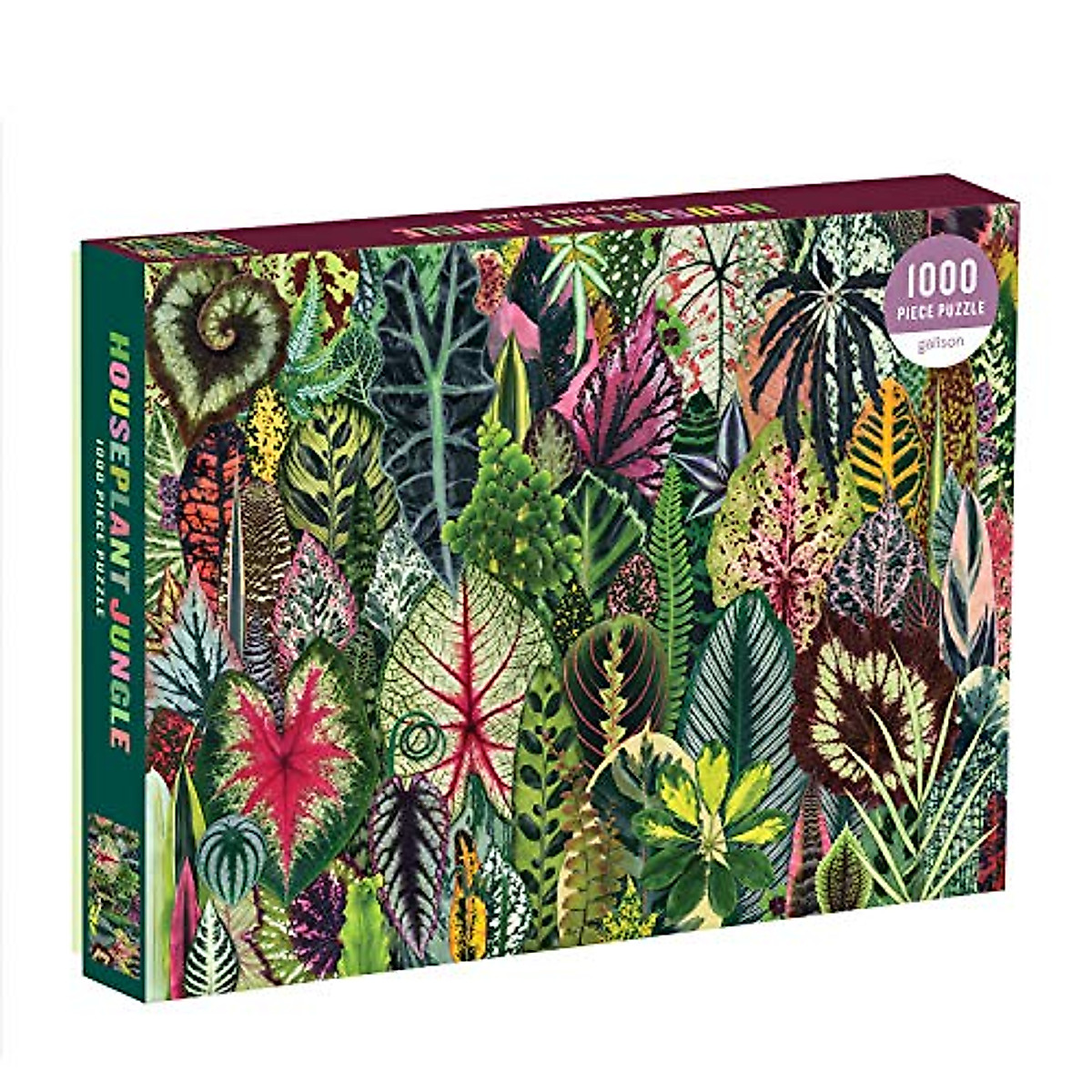 Galison Houseplant Jungle 1000 Piece Jigsaw Puzzle for Adults – Plant Jigsaw Puzzle with Mix of Succulents & Other Household Plants – Fun Indoor Activity, Multicolor